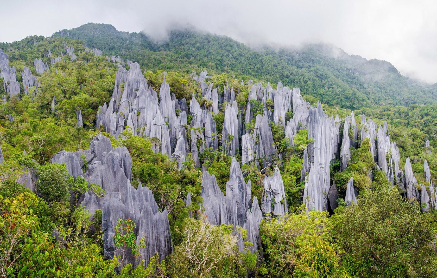 7 Gunung Tertinggi Di Malaysia | Pilihan Terbaik! - Coklat Vanilla