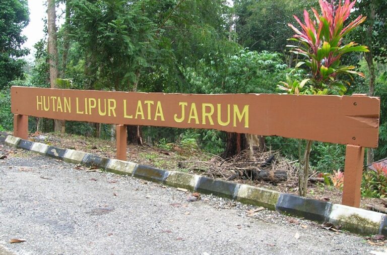 15 Tempat Menarik Di Raub | Memang Best! - Coklat Vanilla